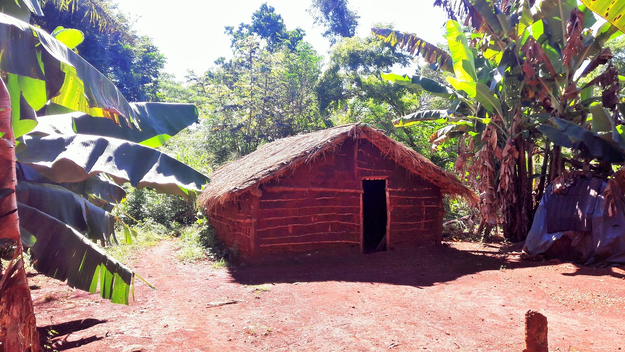 Oportunidades del turismo comunitario para los guaraníes: el caso de ...