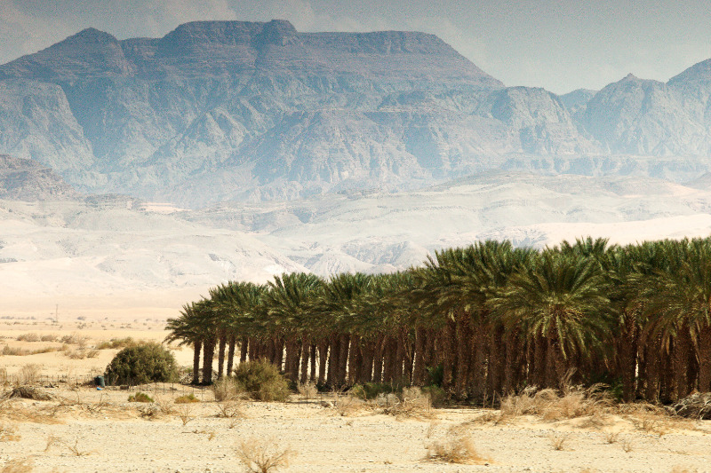 Israel's transformative desert retreat